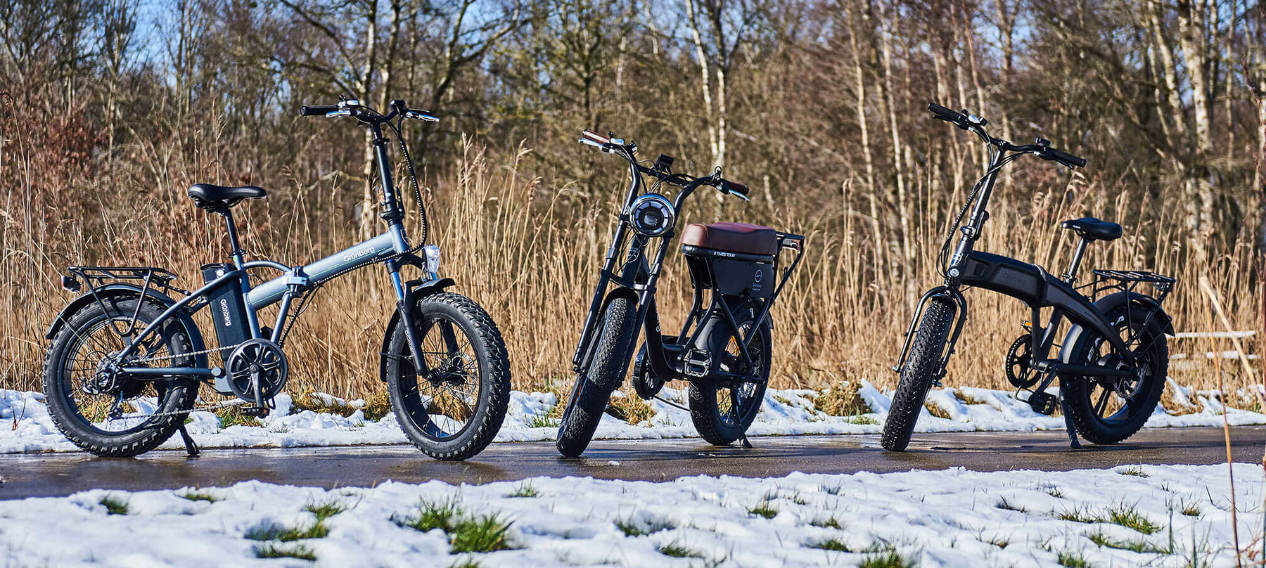 Voordelige elektrische fatbike kopen? Gratis binnen 24 uur geleverd!